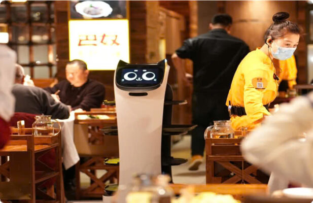 Robot Giao Đồ Ăn Bella Pudu: Giải Pháp Hiện Đại Cho Nhà Hàng Và Quán Cà Phê